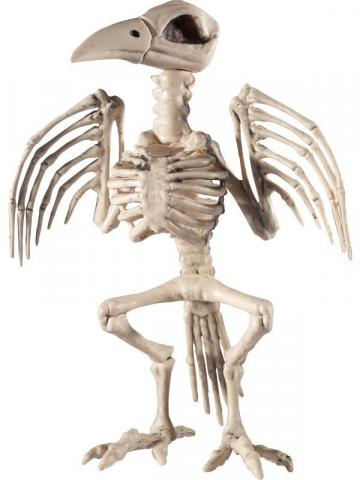 Halloween Raven Skeleton Prop