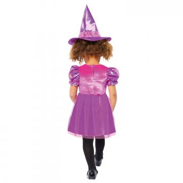 Kids Paw Patrol Skye Witch Costume