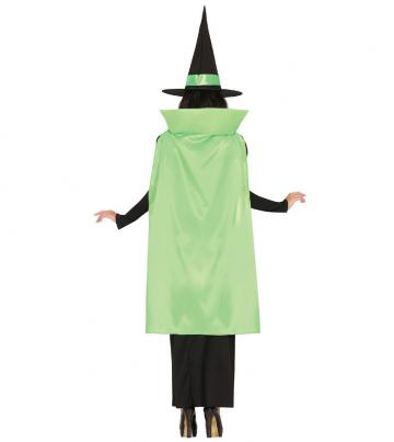 Green Witch Costume